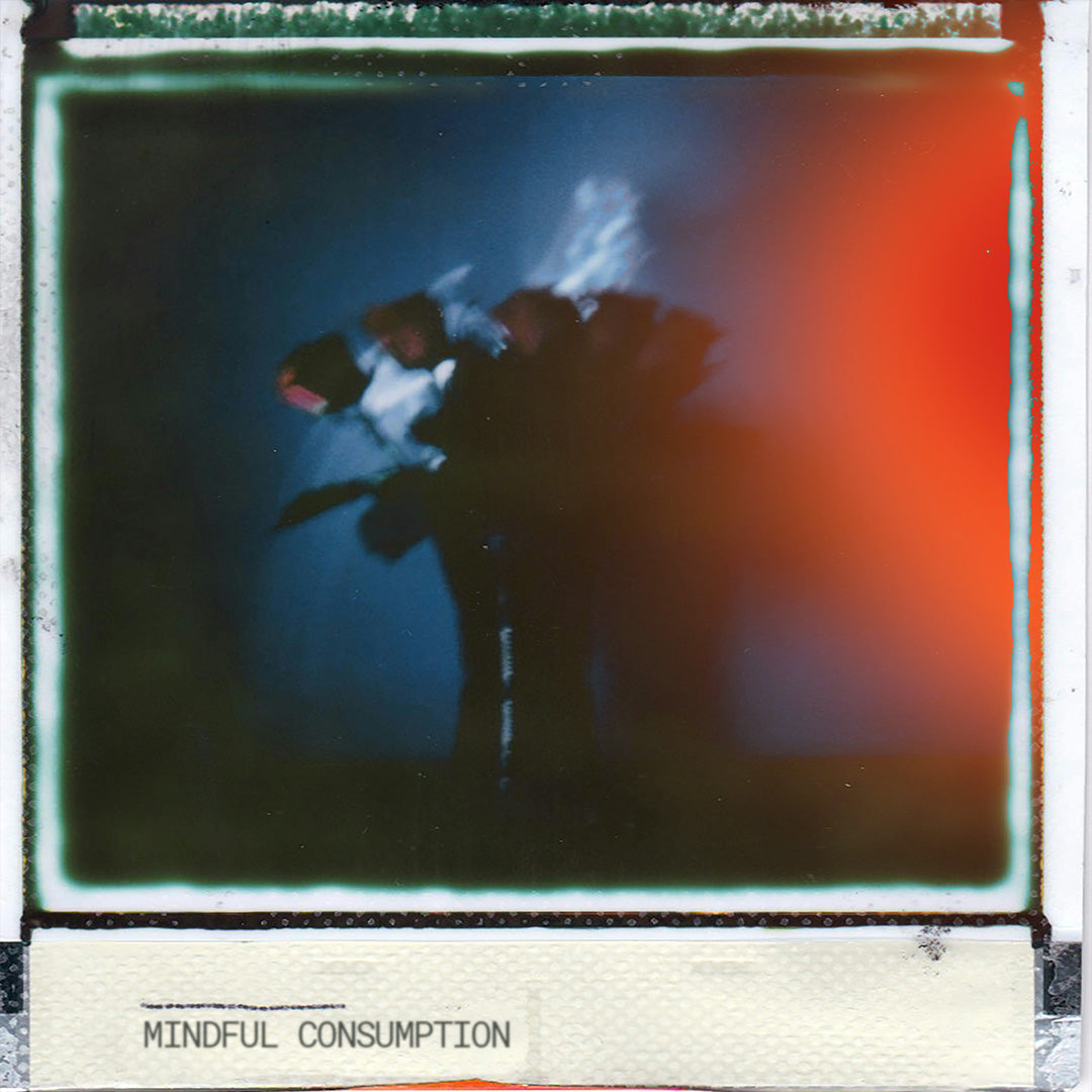 Mastering Mindful Consumption – Miss Grass