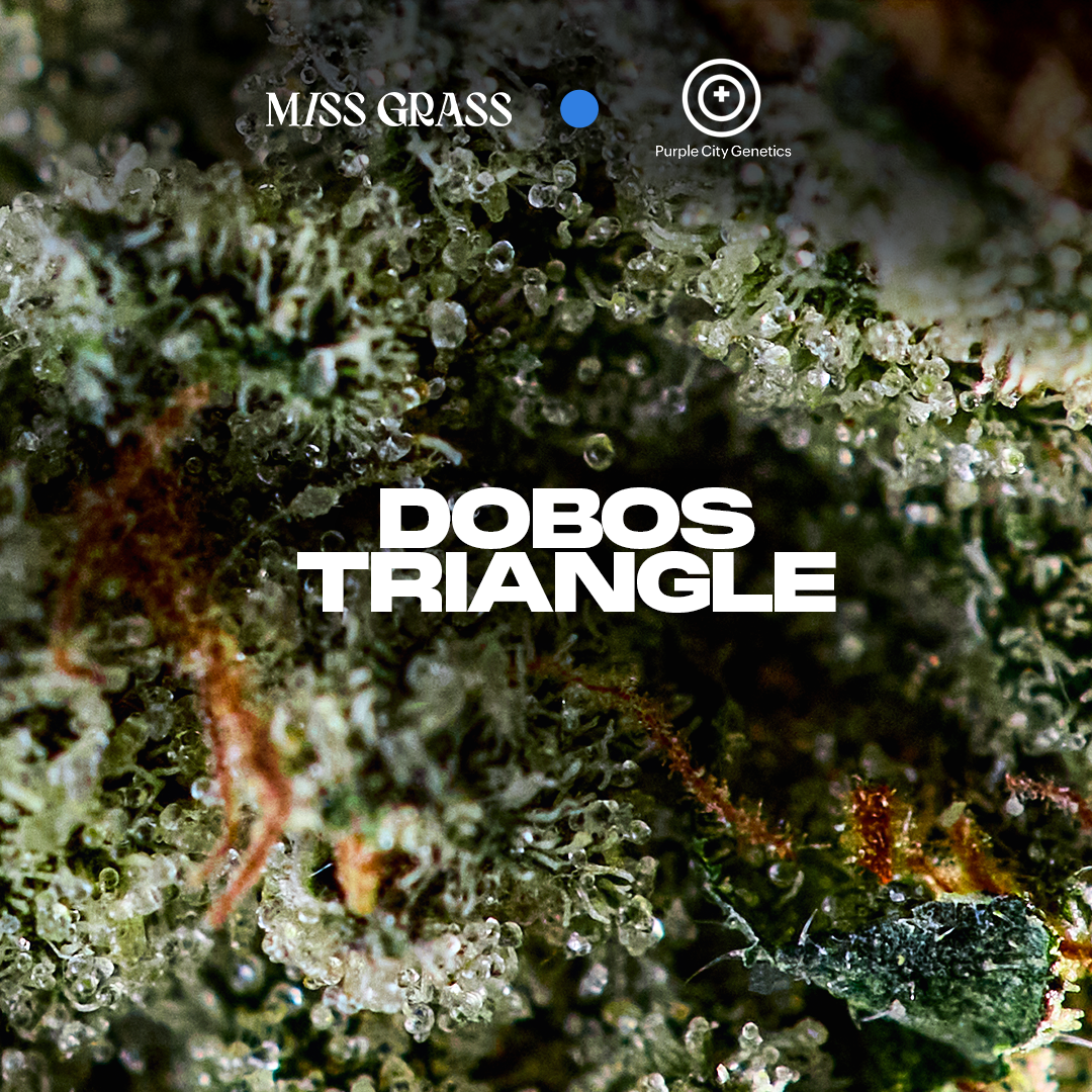 Dobos Triangle: Wedding Cake x Bubba Diagonal – Miss Grass
